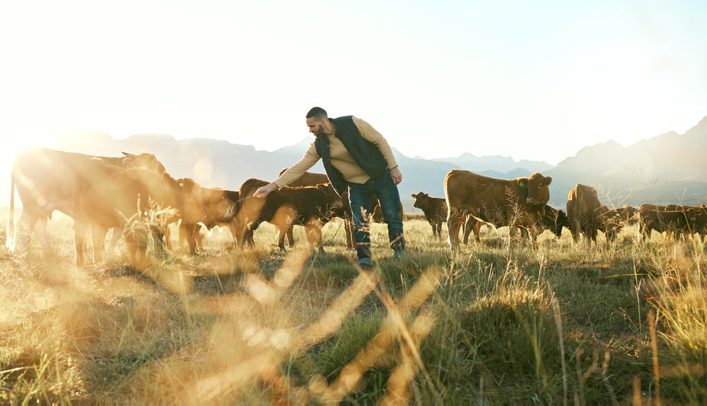 FOOD SOURCING & INGREDIENTS – Raw Dynamic