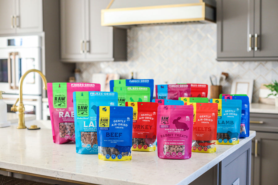 Contact – Raw Dynamic