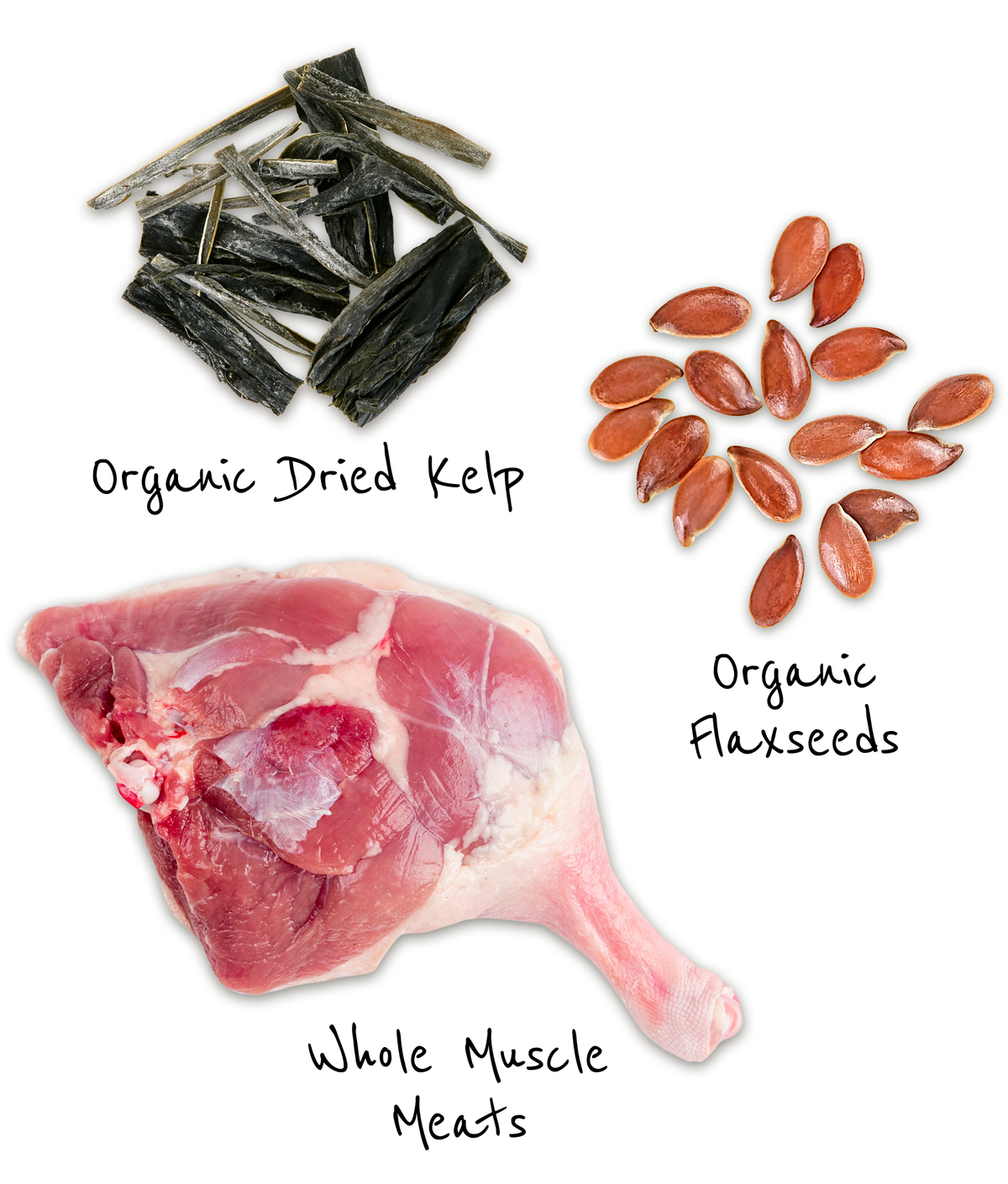 Freeze-Dried Raw for Dogs – Raw Dynamic